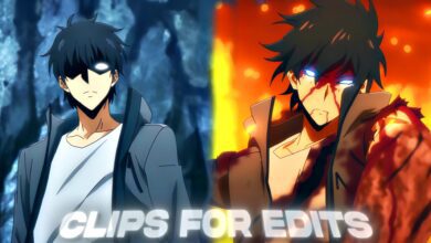 Solo Leveling – ringwitdaclips.com